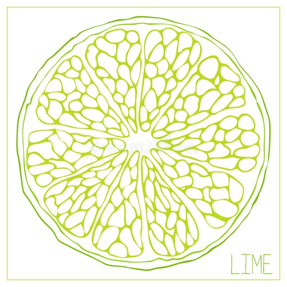 Lime Drawing Stock Illustrations – 33,653 Lime Drawing Stock ...