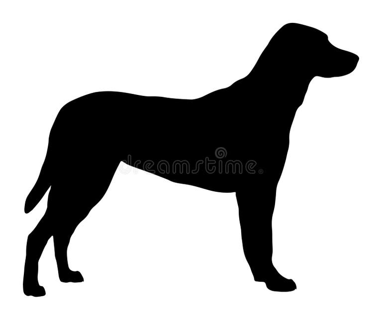 Standing Dog Side View Outline Stock Illustrations – 751 Standing Dog ...