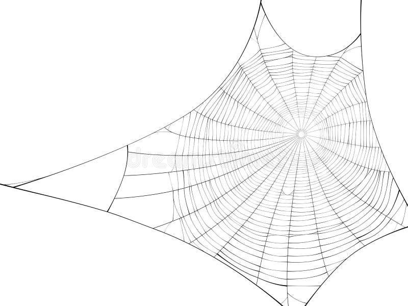 Rectangular Spider Web Stock Illustrations – 25 Rectangular Spider Web ...