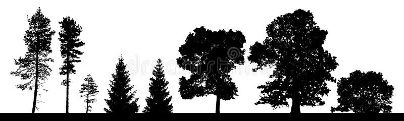 Deciduous Trees Stock Illustrations – 35,344 Deciduous Trees Stock ...