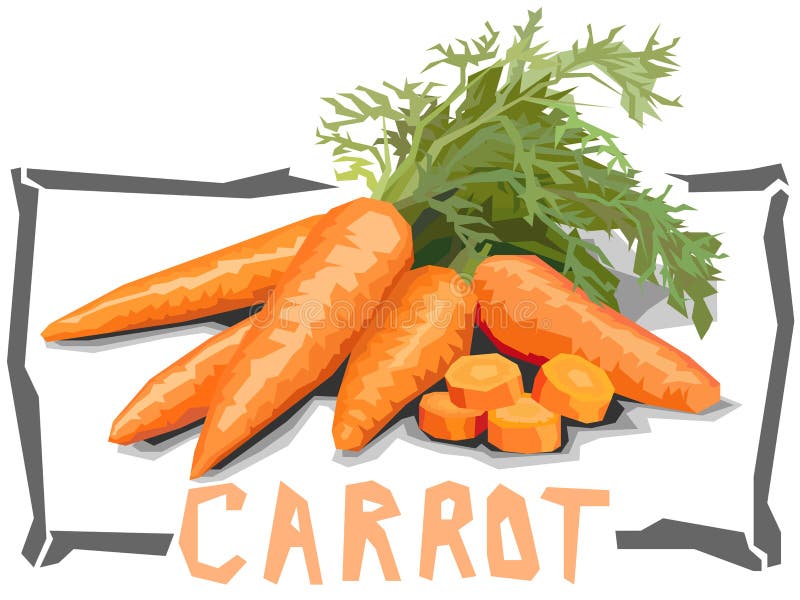 Vector Simple Illustration of Carrots. Stock Vector - Illustration of ...