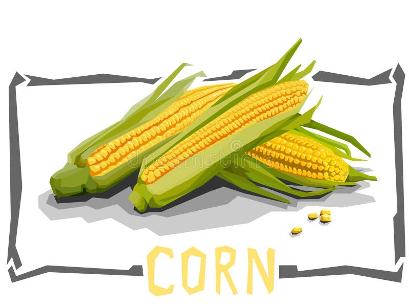 Vector Simple Illustration of Corn. Stock Vector - Illustration of corn ...