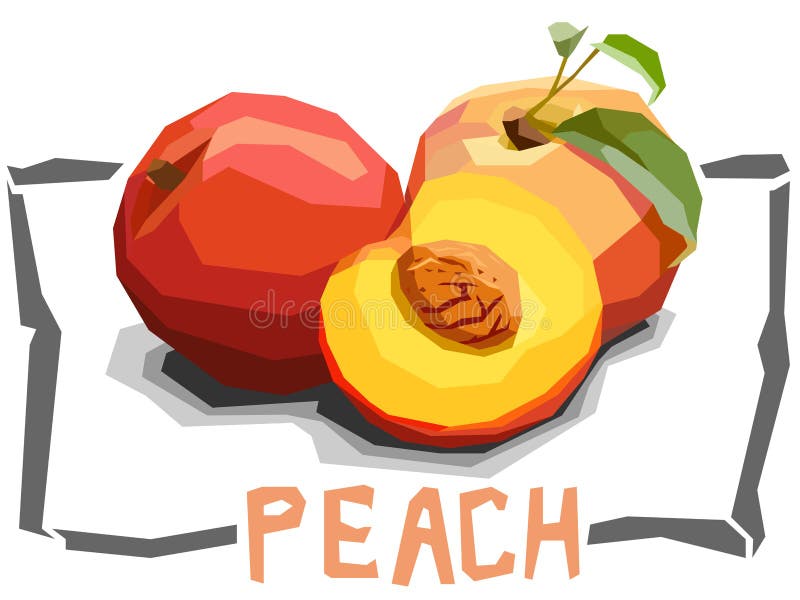 Vector Simple Illustration of Fruit Peaches. Stock Vector ...