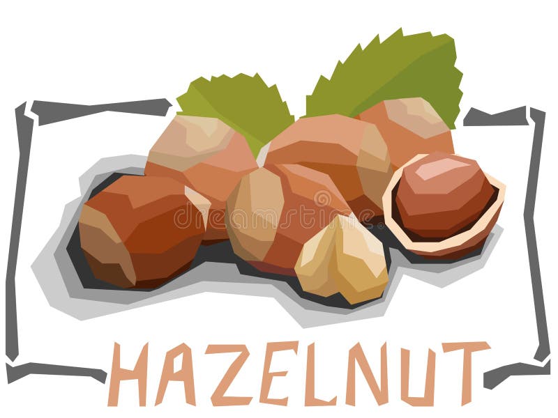 Vector Simple Illustration of Hazelnut. Stock Vector - Illustration of ...