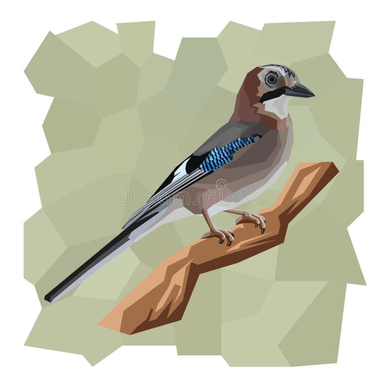 Jay Bird Vector Stock Illustrations – 844 Jay Bird Vector Stock ...
