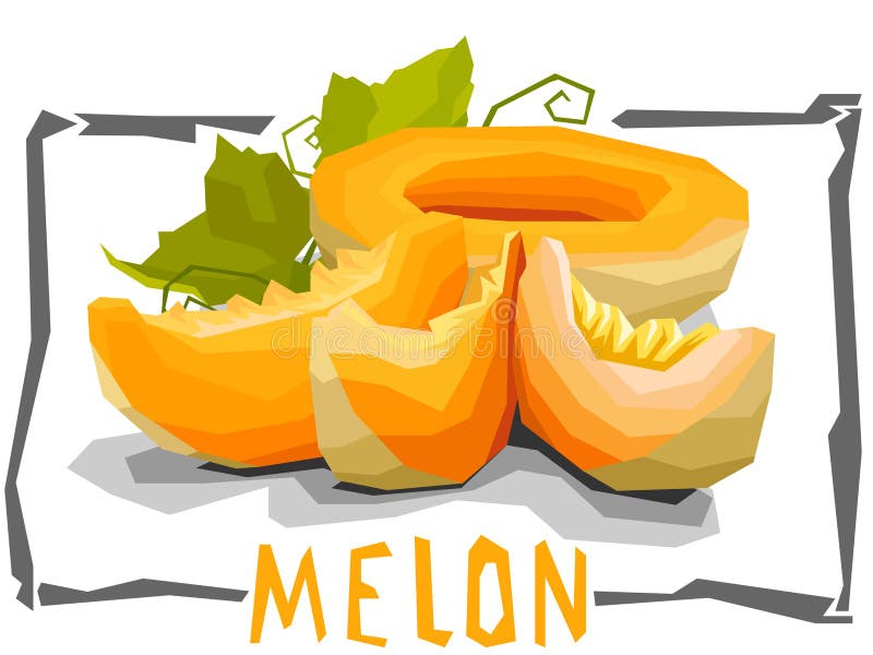 Vector Simple Illustration of Melons. Stock Vector - Illustration of ...