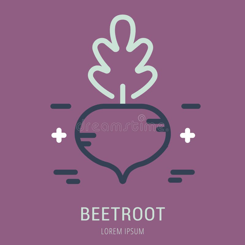 Vector Simple Logo Template Beetroot Stock Illustration - Illustration ...