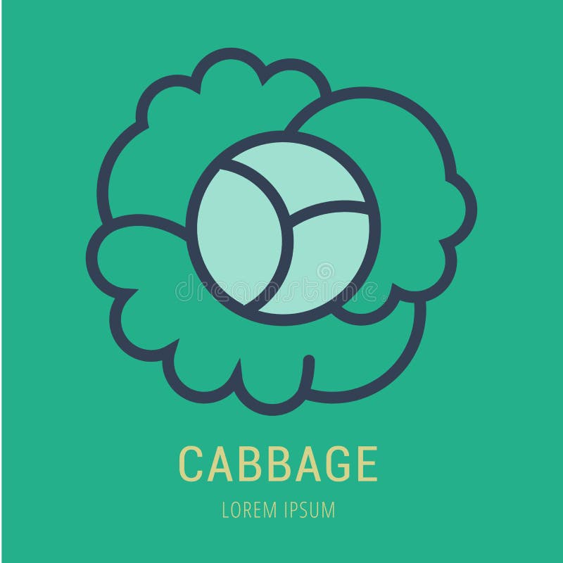 Vector Simple Logo Template Cabbage Stock Illustration - Illustration ...