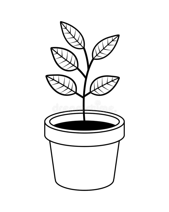 Vector Simple Potted Plant in a Pot Stock Illustration - Illustration ...
