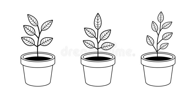 Plant Pot Outline Stock Illustrations – 25,782 Plant Pot Outline Stock ...