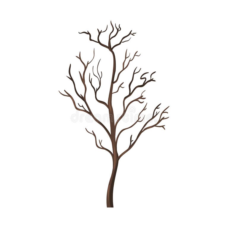Vector Single Cartoon Brown Bare Tree Stock Vector - Illustration of ...