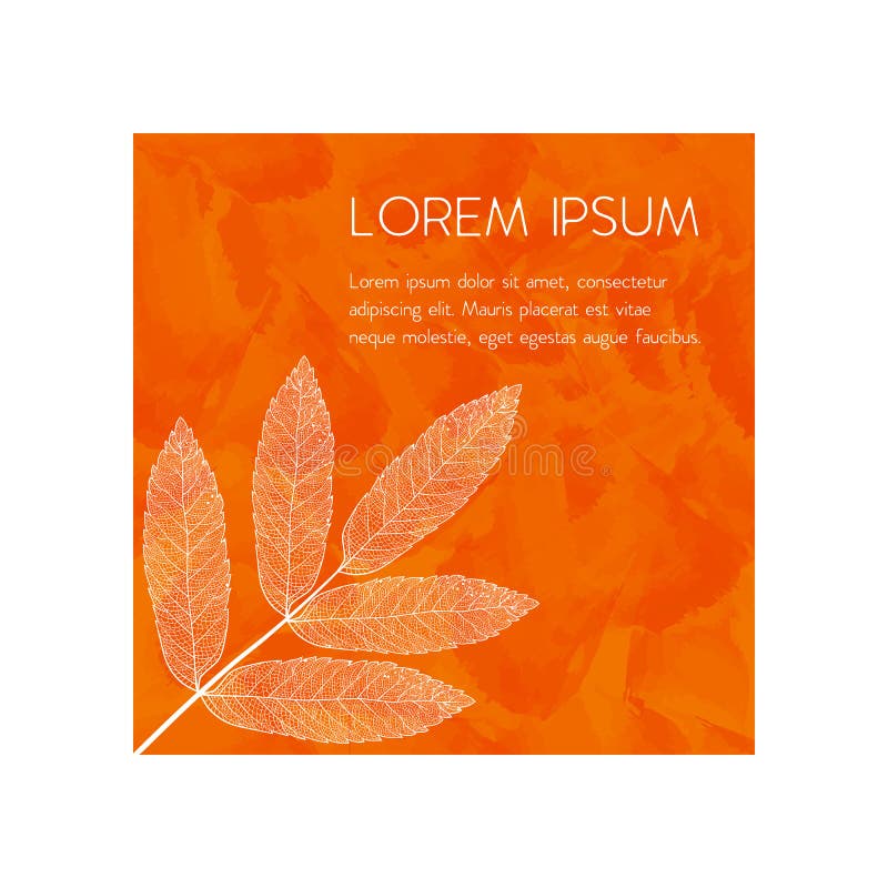 Frame with Skeletonized Leaves. Vector Illustration Stock Vector ...