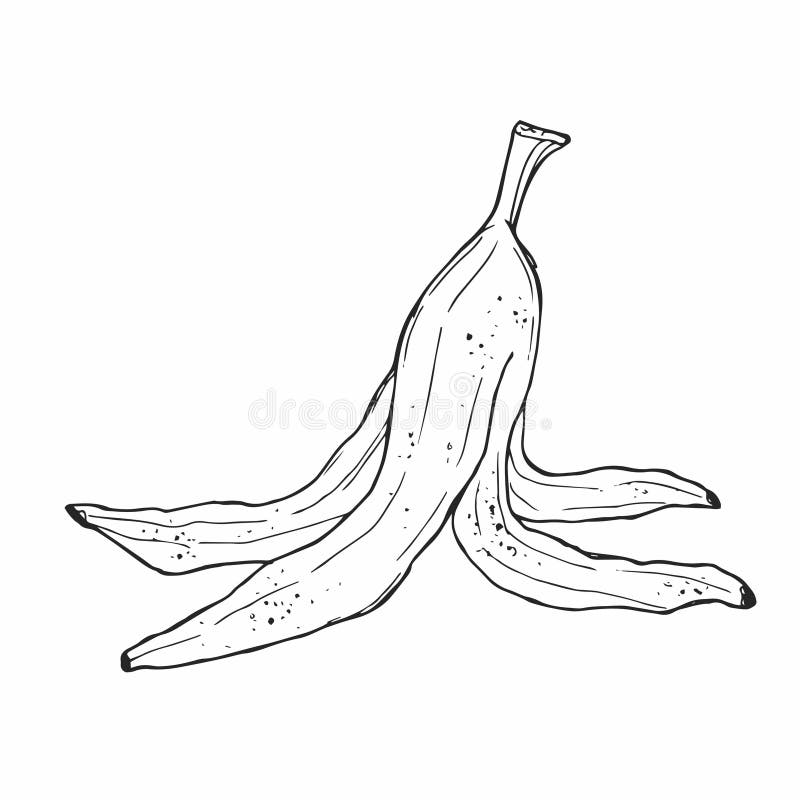 Vector Sketch Banana Peel. Illustration in Doodle Style Stock Vector ...