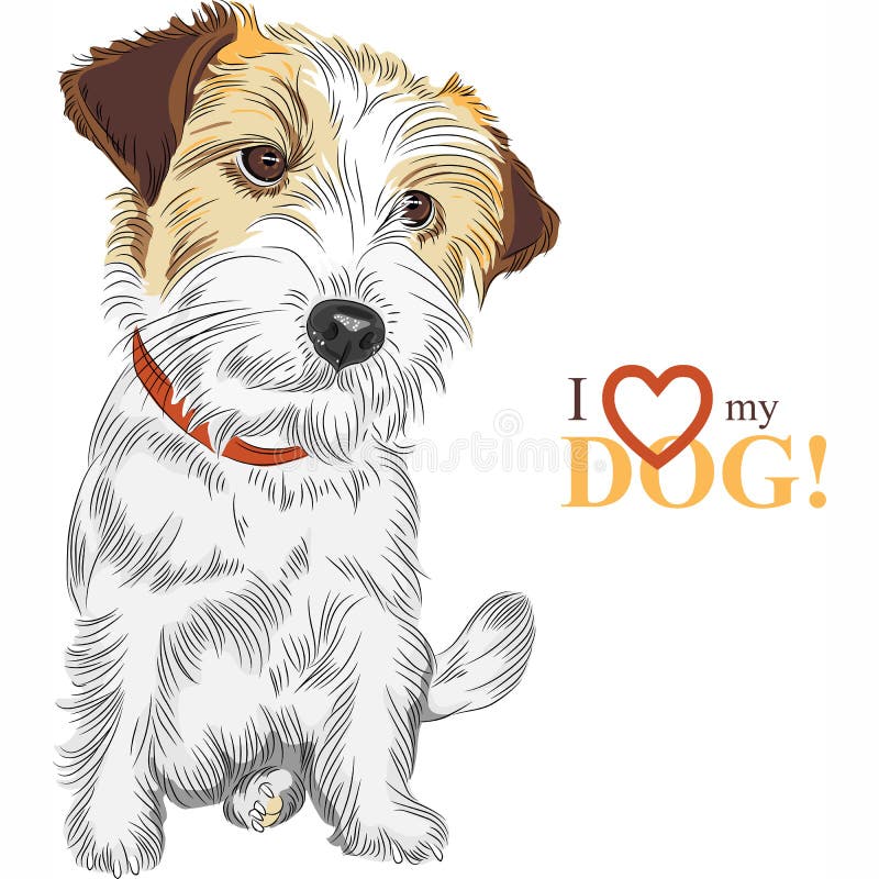 Vector Sketch Dog Jack Russell Terrier Breed Stock Vector ...