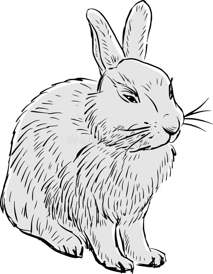 Grey Rabbit Character stock vector. Illustration of easter - 51019061