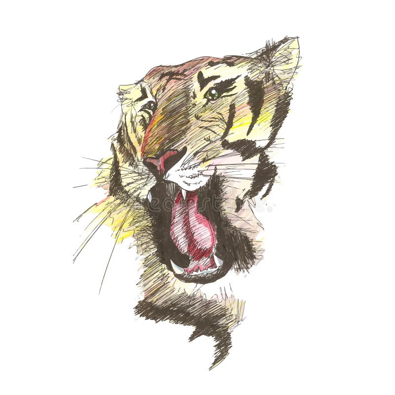 Scribble Tiger Stock Illustrations – 808 Scribble Tiger Stock ...