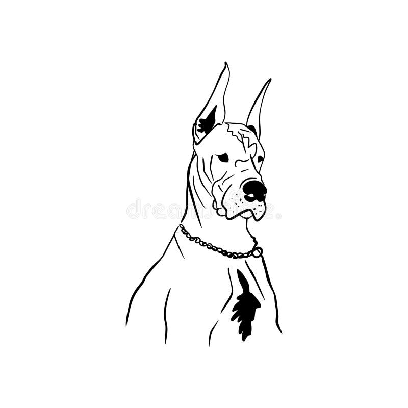 Vector Sketch Hand Drawn Great Dane Silhouette Line Art Stock Vector Illustration Of Draw