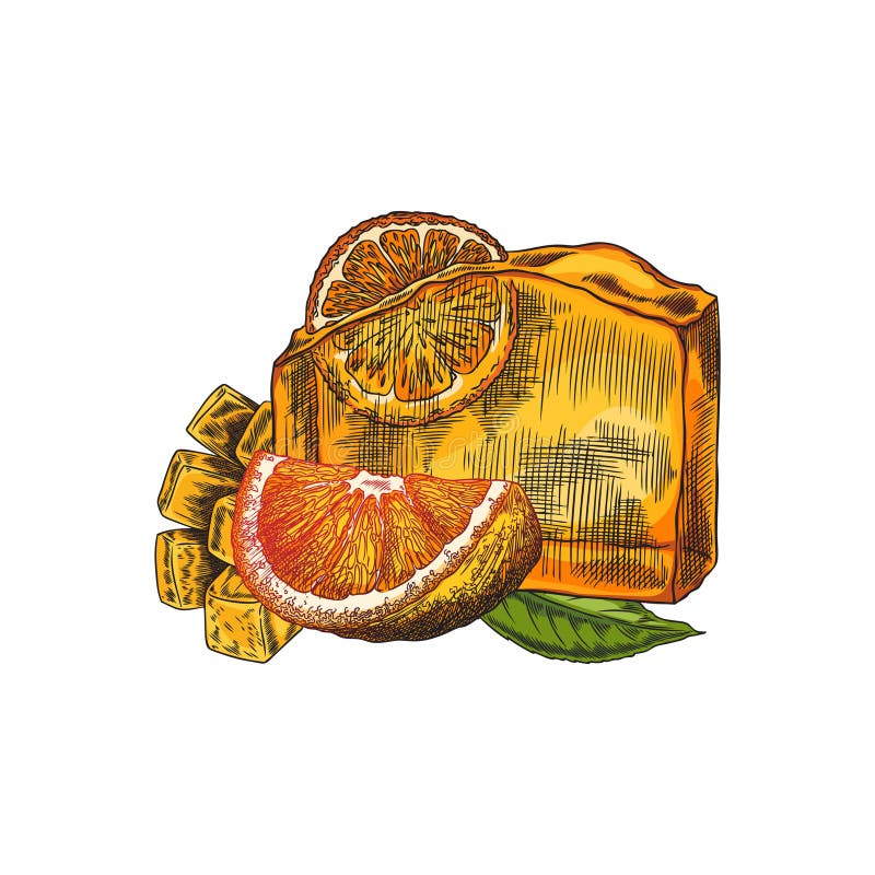 Vector Sketch of Handmade Orange Soap with Organic Essence of Mango and ...