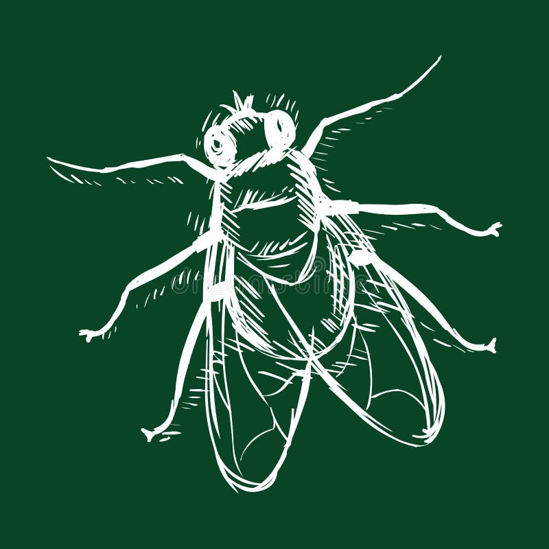 Vector Sketch Illustration - Fly Stock Illustration - Illustration of ...
