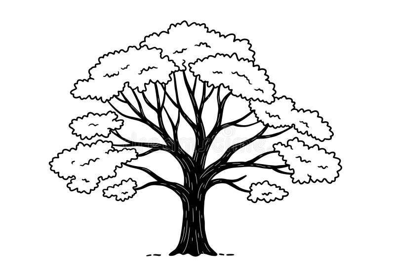 Oak Draw Stock Illustrations – 3,006 Oak Draw Stock Illustrations ...