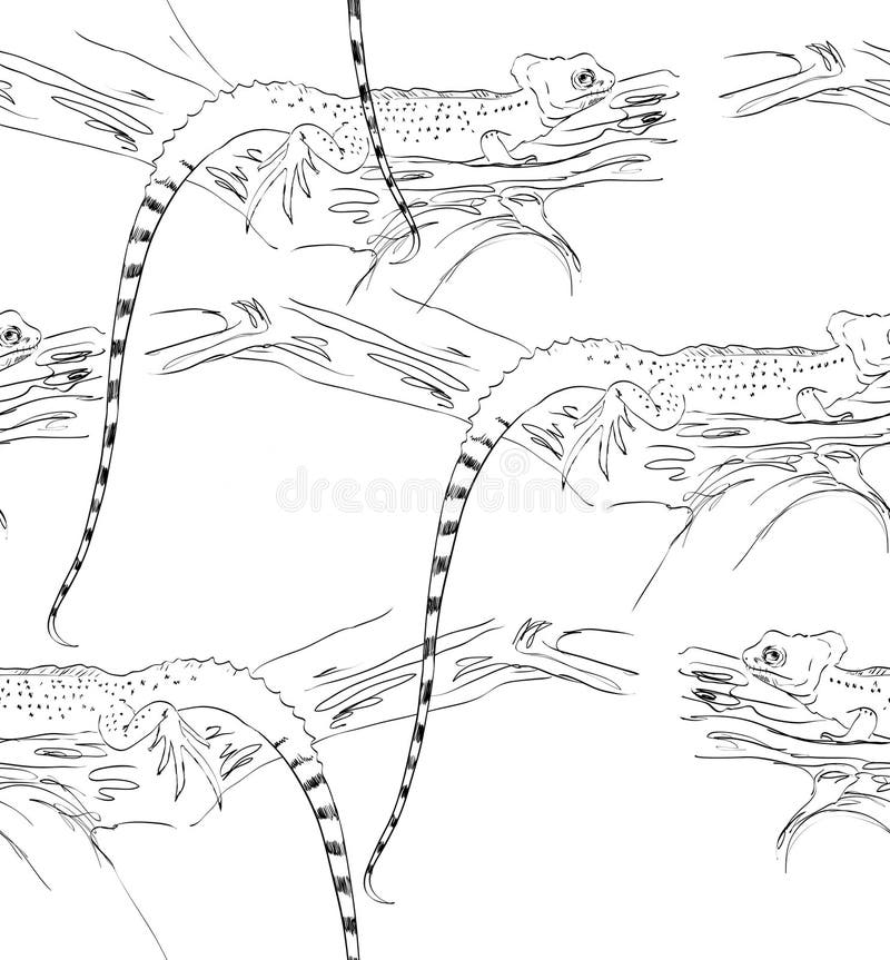 Sketch of a lizard stock vector. Illustration of seamless - 293698615