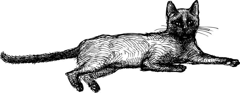 Lying cat stock vector. Illustration of animal, realistic - 31207589