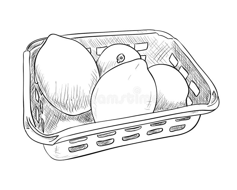 Sketch Plastic Container Coloring Pages