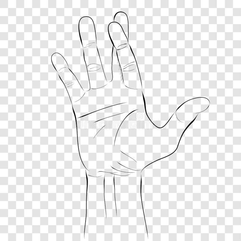 Sketch of a Right Hand in the Gesture of Touching with Index Finger ...