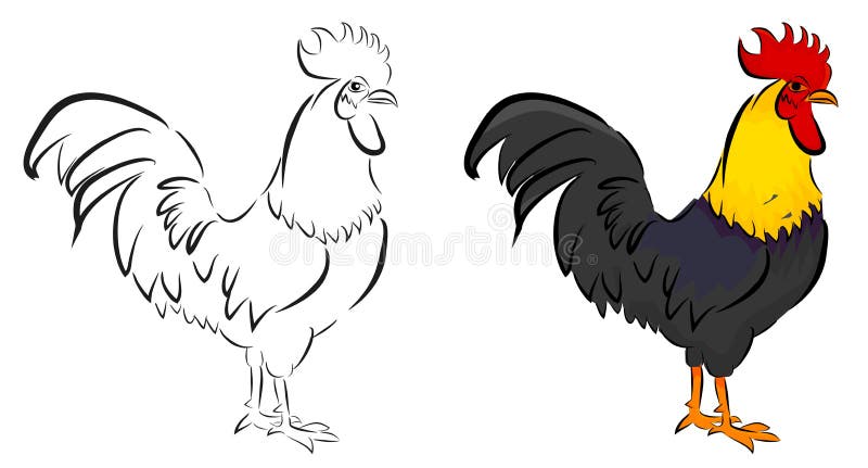 Simple Vector Set 2 Sketch Rooster, Isolated on White Stock Vector ...