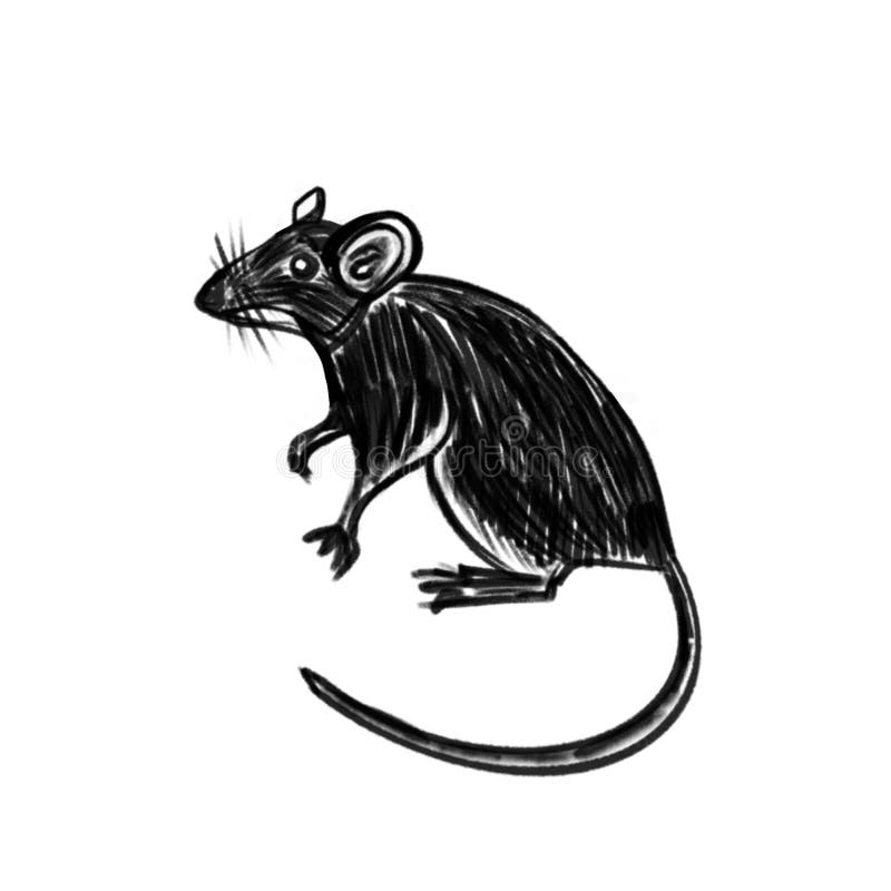 Vector Sketch of a Small Black Mouse, Black Lines Stock Vector ...