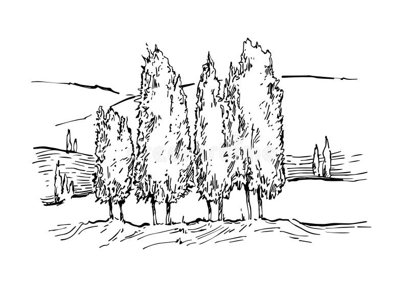 Summer Landscape Vector Sketch. Stock Vector - Illustration of rural ...