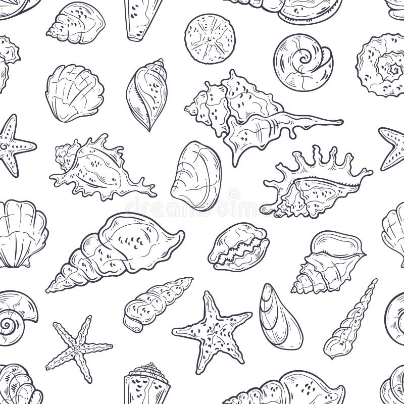 Vector Sketching Illustrations. Different Types of Seashells Stock ...