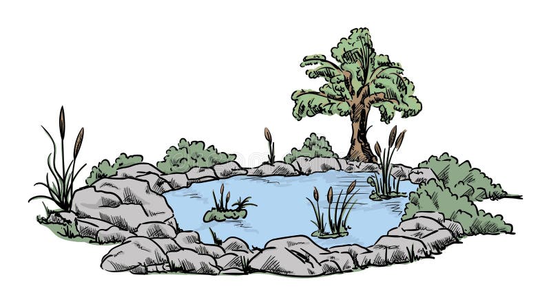 Small Pond Drawing Stock Illustrations – 1,065 Small Pond Drawing Stock ...