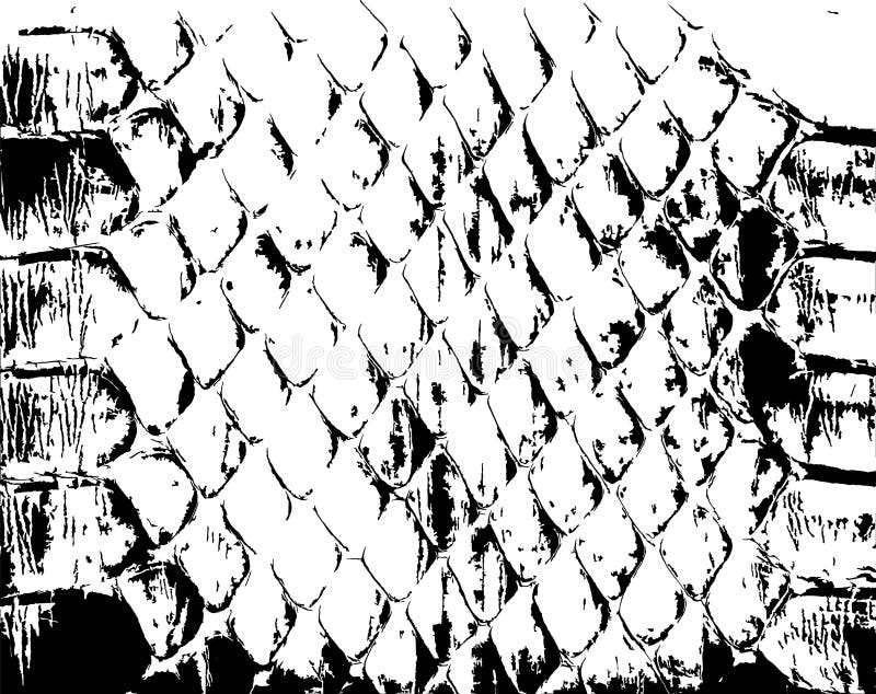Vector Snake Skin Background. Black and White Texture Stock Vector ...