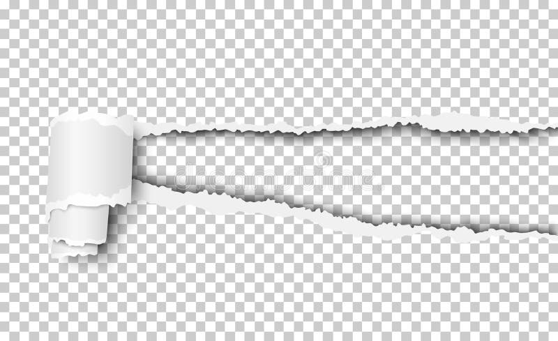 Shred Edges Stock Illustrations – 265 Shred Edges Stock Illustrations ...