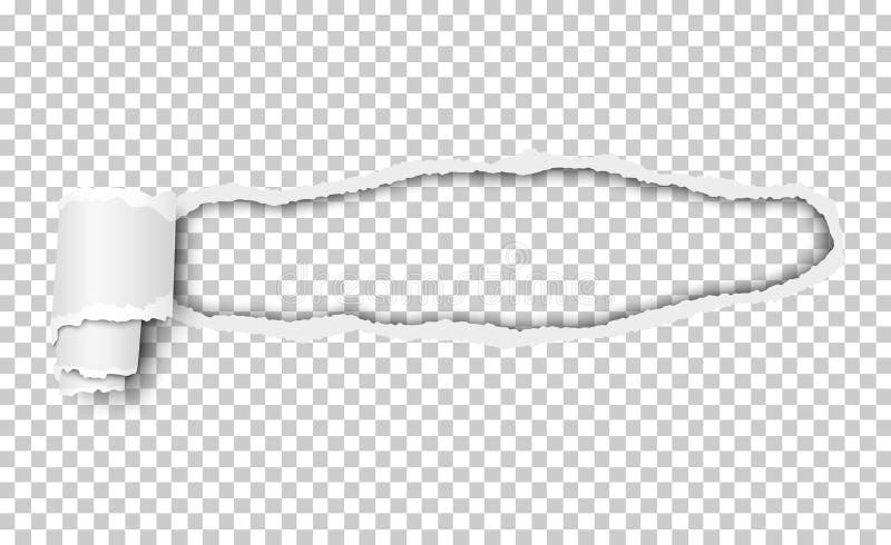 Shred Edges Stock Illustrations – 265 Shred Edges Stock Illustrations ...