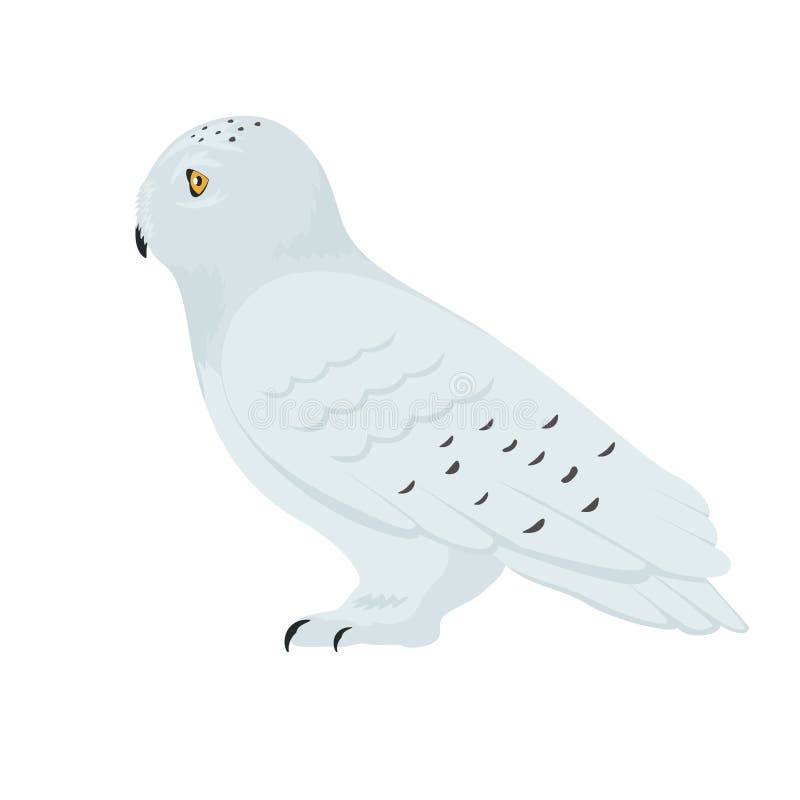 Snowy Owl Vector Stock Illustrations – 585 Snowy Owl Vector Stock ...