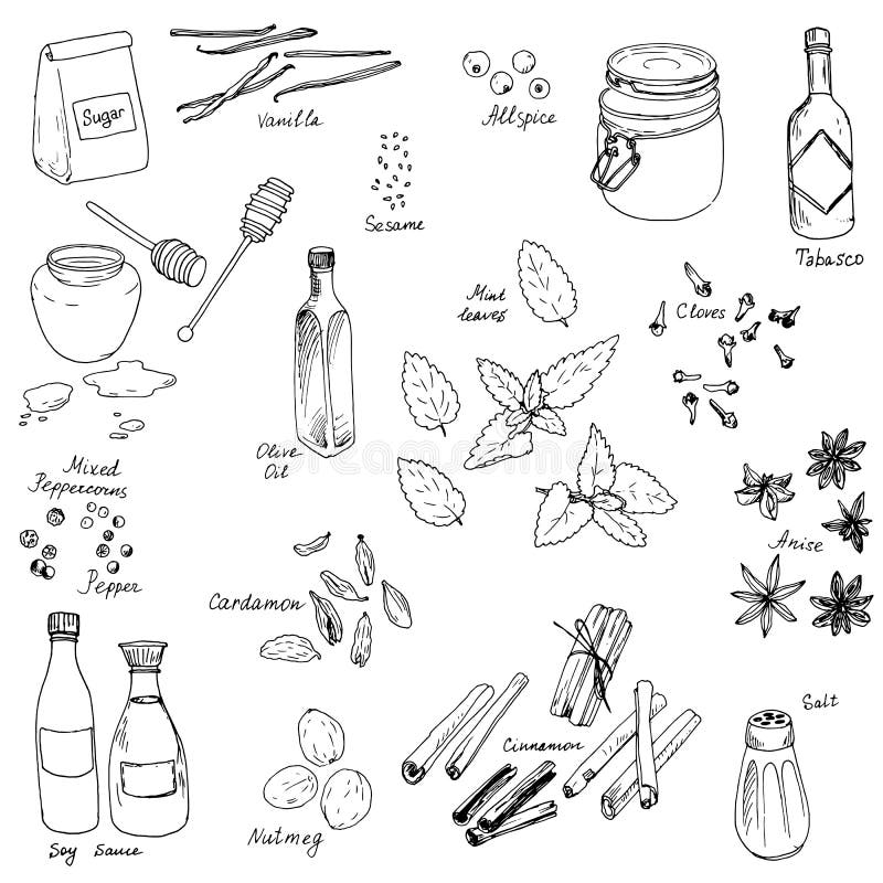 Doodle spice set stock vector. Illustration of drawing - 47007382