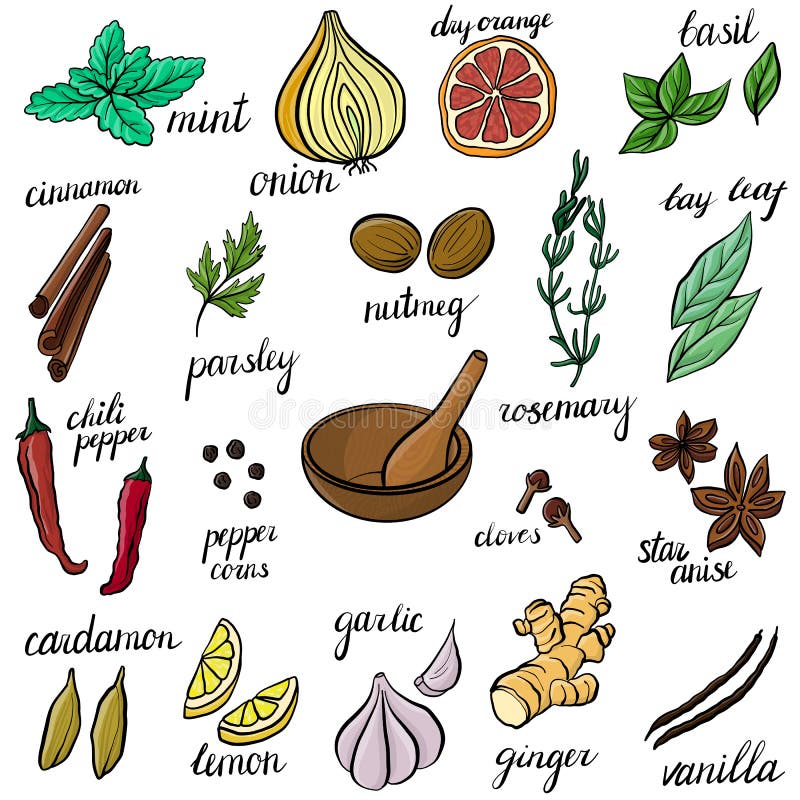 Vector spice set stock vector. Illustration of chili - 116610199