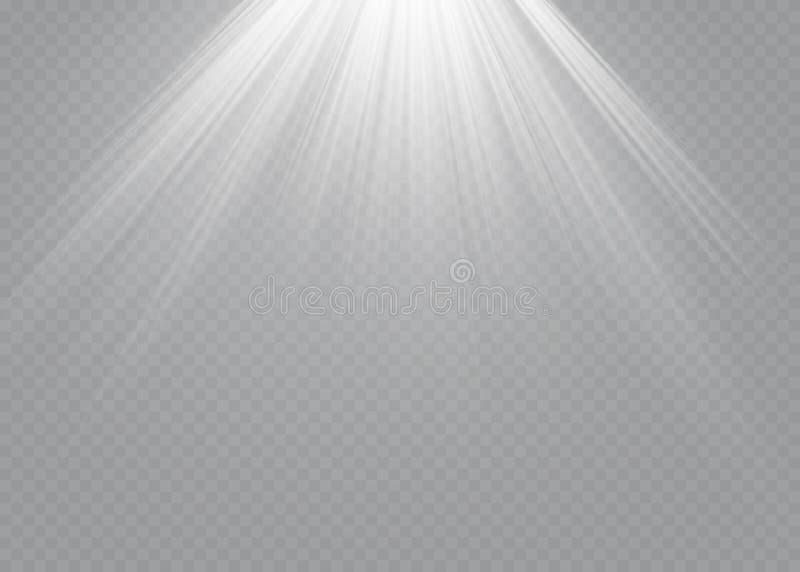 Vector Spotlight. Light Effect Element of Decor Stock Vector ...