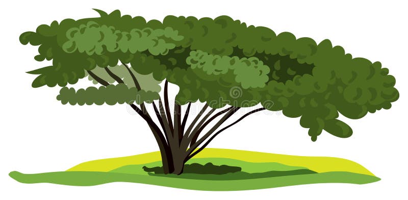 Spreading Tree with Leaves and Rootage, Hand Drawn Stock Vector ...