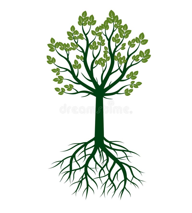 Vector Spring Tree. Outline Illustration Stock Vector - Illustration of ...