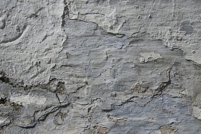 Vector Spring Tree. Outline Illustration Stock Image - Image of white ...