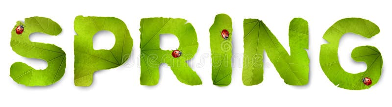 Vector Spring Word, Made from Green Leaves Stock Vector - Illustration ...