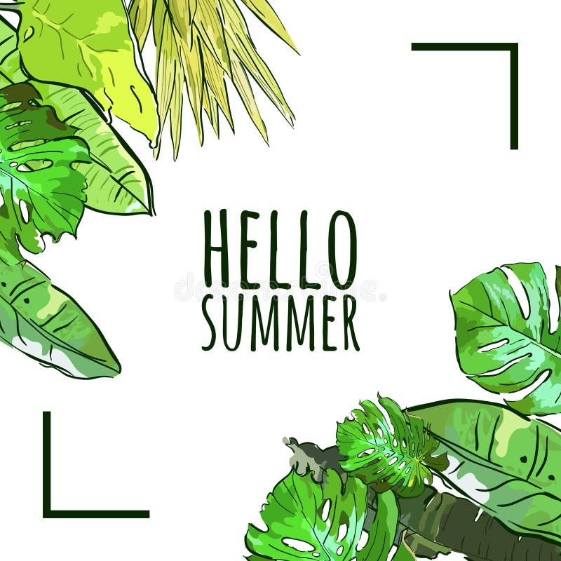 Vector Square Frame with Hand Drawn Tropical Palm Tree Leaves. Stock ...