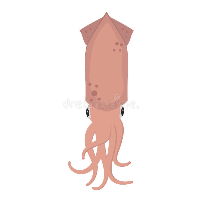 Squid cartoon stock illustration. Illustration of cute - 24153091