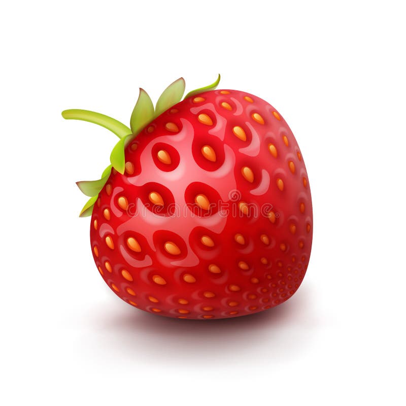 Vector Strawberry Isolated Stock Vector Illustration Of Green 55690368