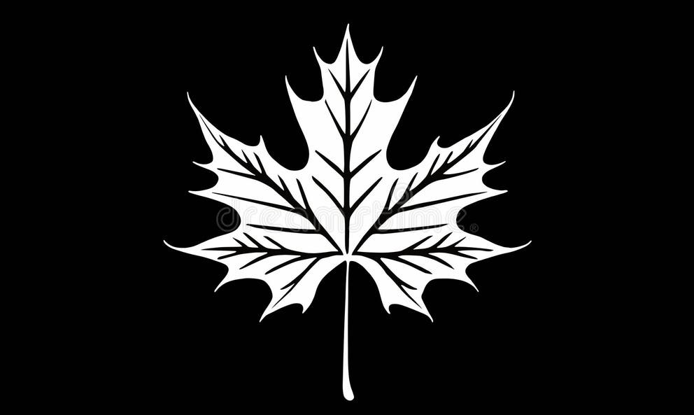 Vector Stylized White Maple Leaf on a Black Background Stock Vector ...