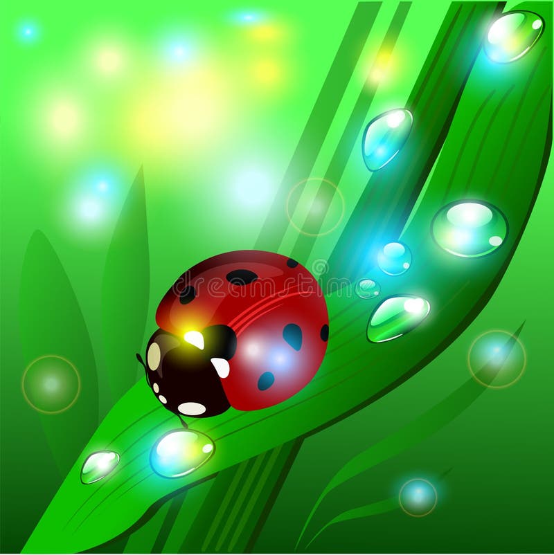 Vector Summer Illustration with the Glare of the Sun, Ladybug, Grass ...