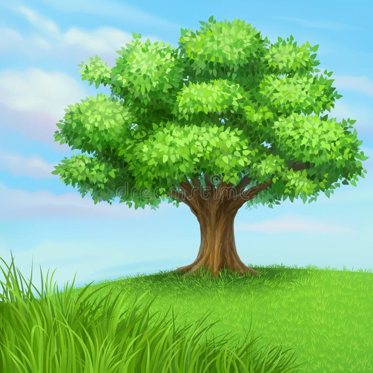 Vector summer tree stock vector. Illustration of season - 12040629
